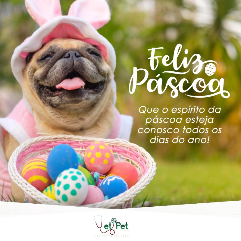 Feliz Páscoa – Clínica Vet Pet | Sobral em Revista