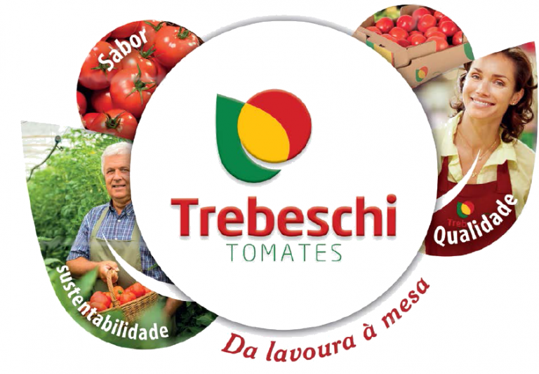 Trebeschi, gigante mineira do tomate, chega à Ibiapaba | Sobral em Revista